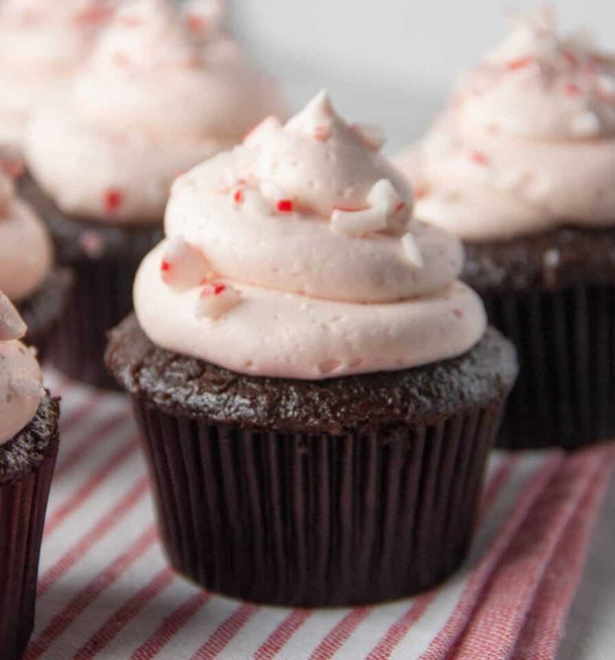 15 Delicious Candy Cane Dessert Recipes - Goodie Godmother